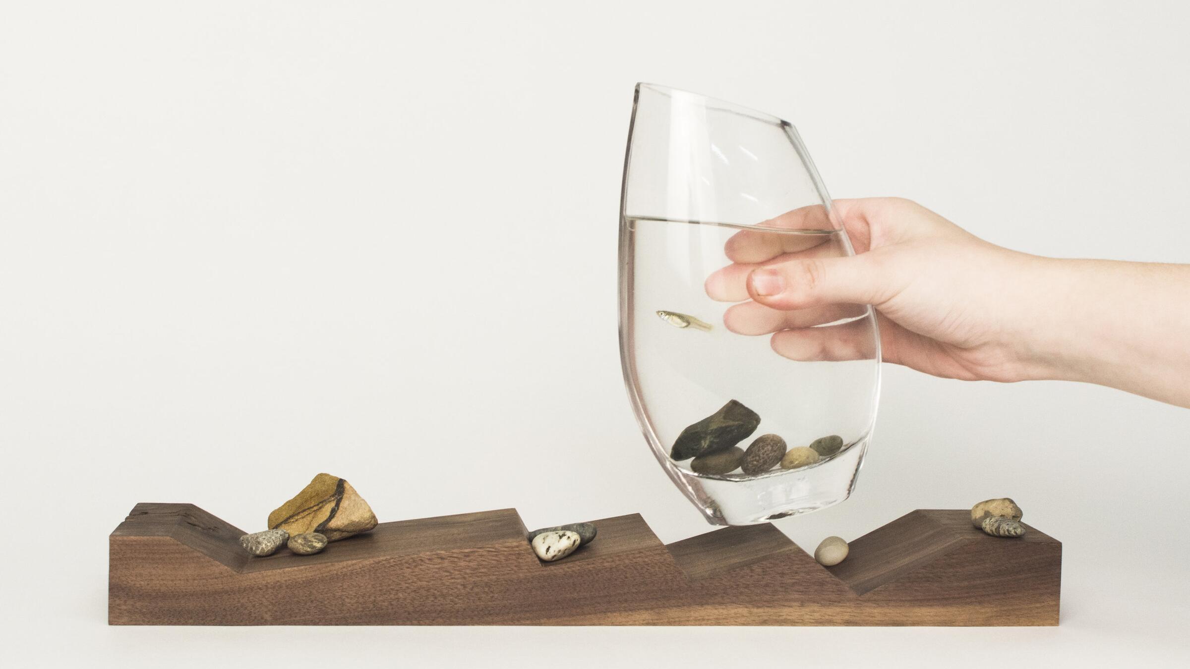 Design Senior Wins IDSA Merit Award | CMU School of Design