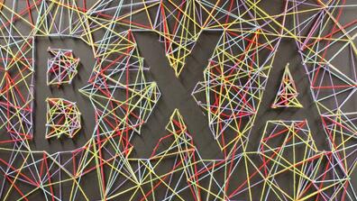 BXA: Interdisciplinary Degree | CMU School of Design